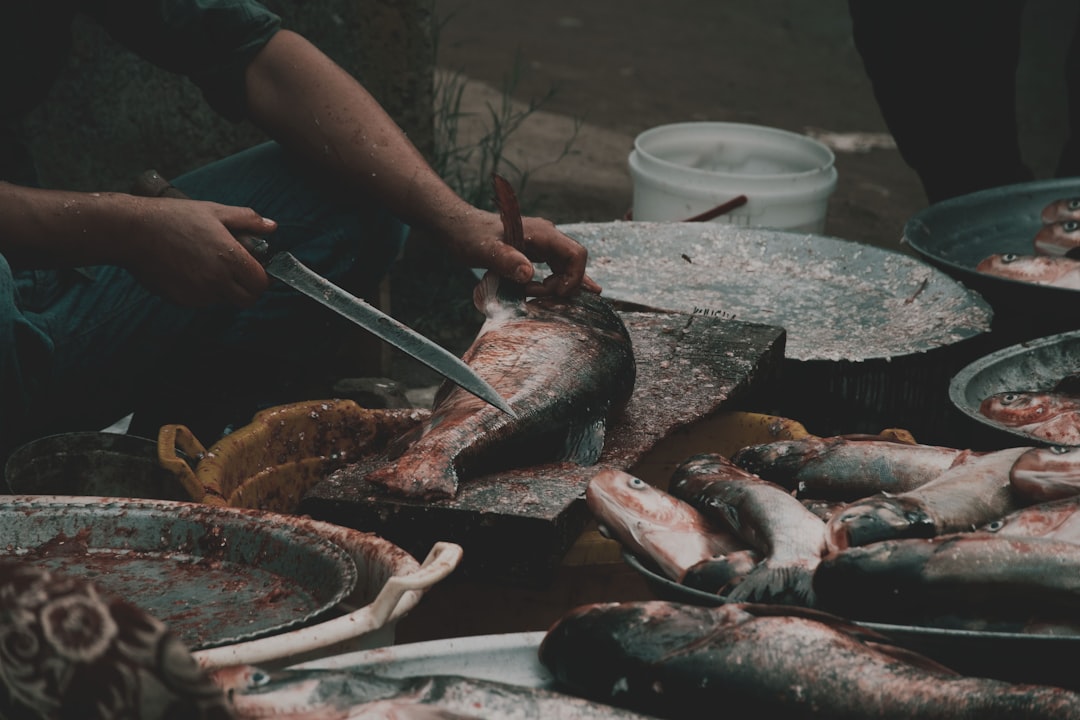 How To Kill A Catfish - Most Humane Way To Kill A Fish